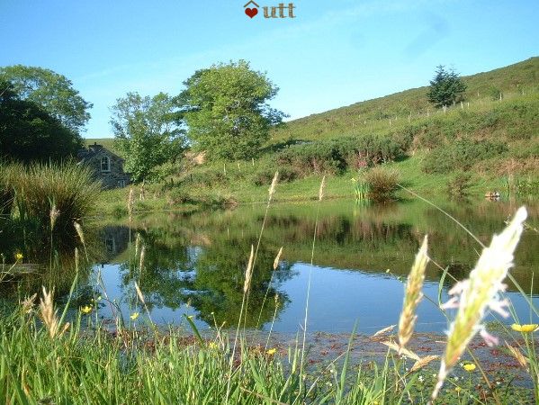 Yr Hen Fynydd - Under the Thatch - Secluded