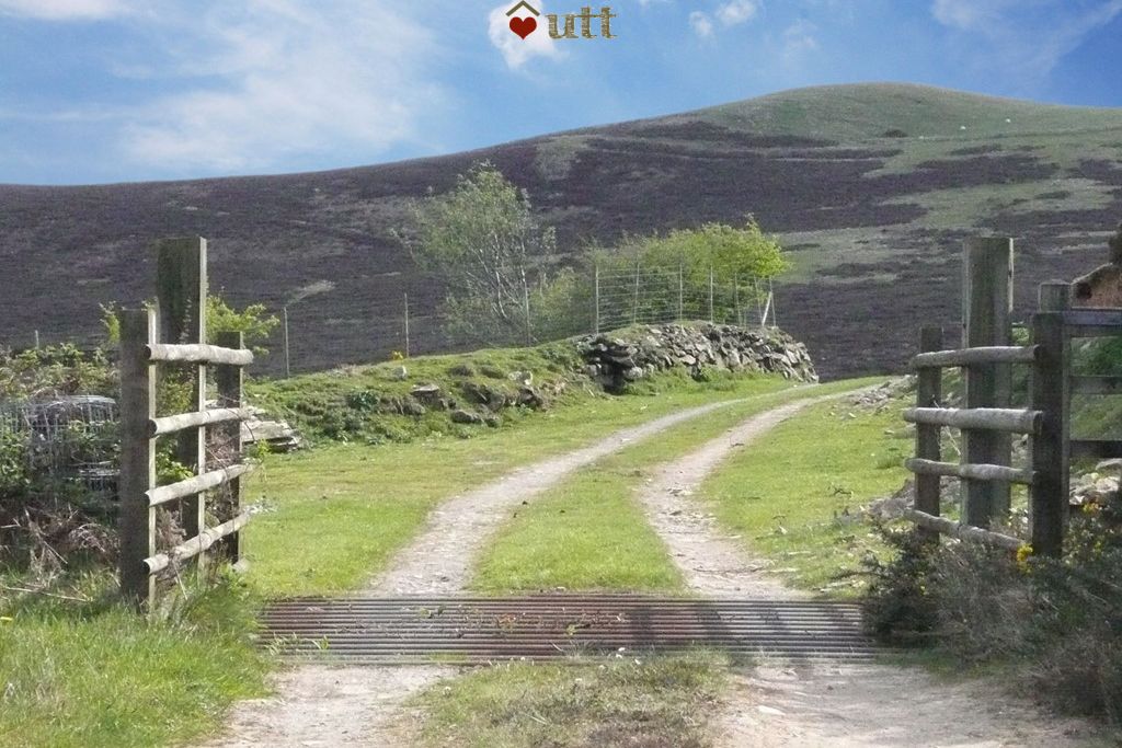 Yr Hen Fynydd - Under the Thatch - Secluded