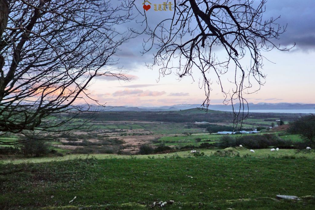 Yr Hen Fynydd - Under the Thatch - Secluded