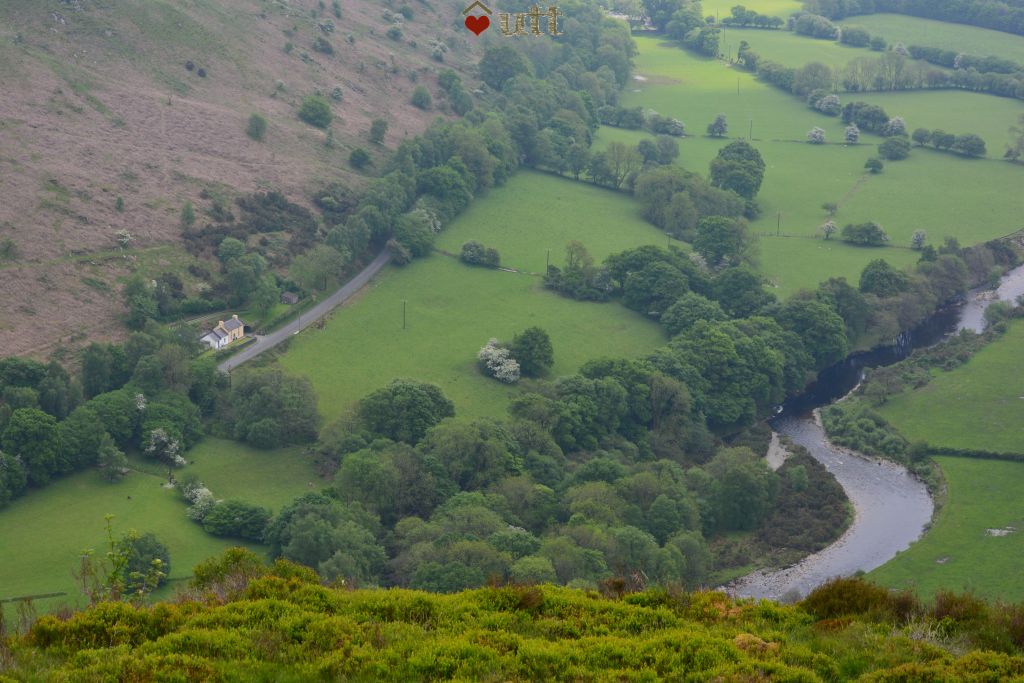 Bwlch Newydd - Under the Thatch - Dog-friendly