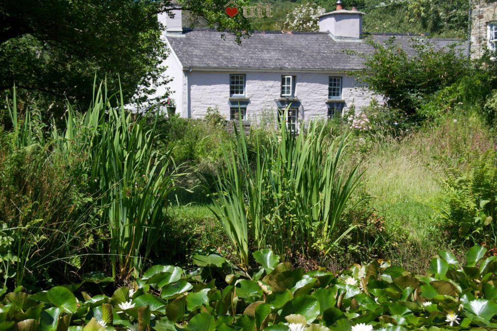 Felin Fach - Under the Thatch - Get-together