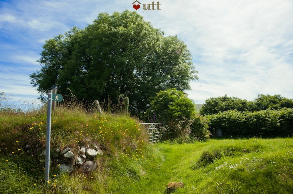 White Hart - Under the Thatch - Get-together