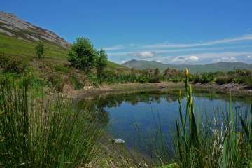 Yr Hen Fynydd - Under the Thatch - Secluded