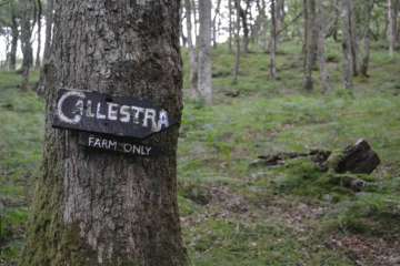 Gallestra - Under the Thatch - Mountain cottages