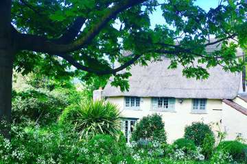 Bwthyn Rhosyn - Under the Thatch - Dog-friendly